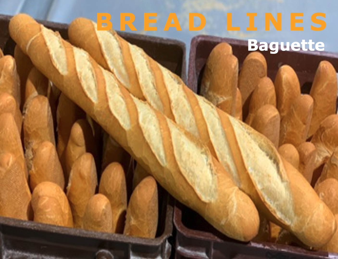 Bread Lines Division